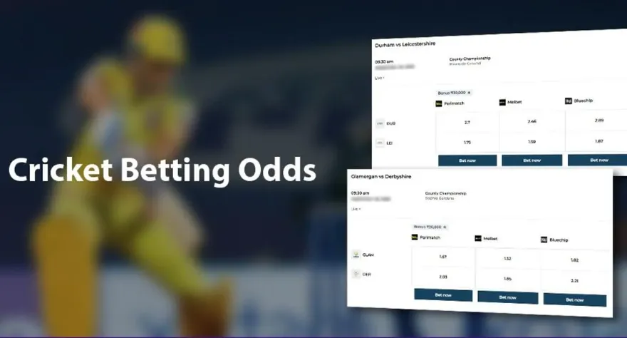 The most useful and important information about bookmaker odds