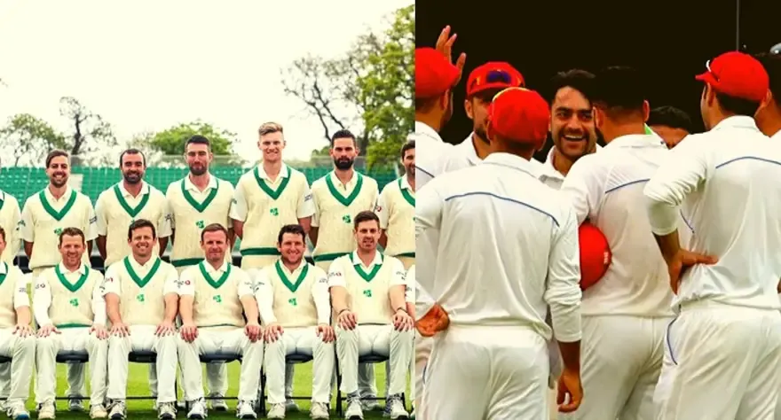 All Cricket Fielding Positions explained to better understand the ...