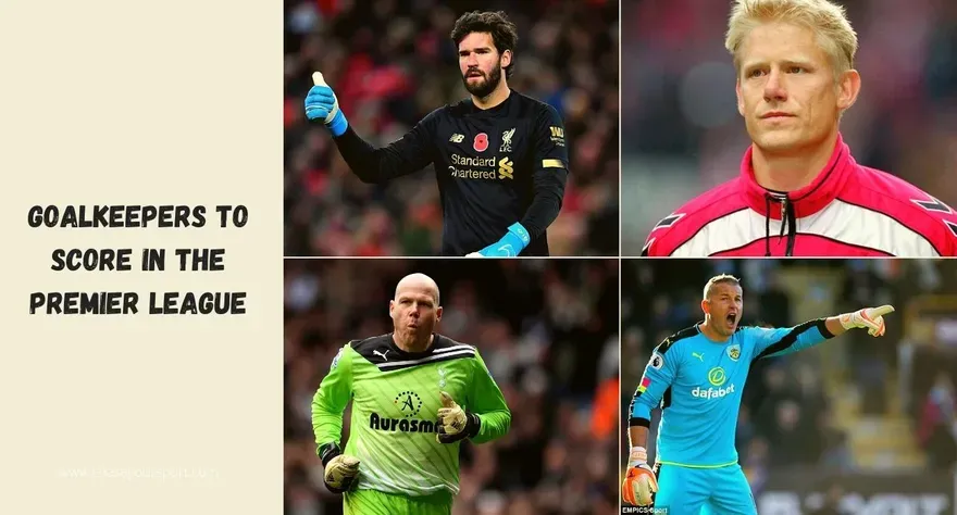Most goals in a Premier League season by a Player