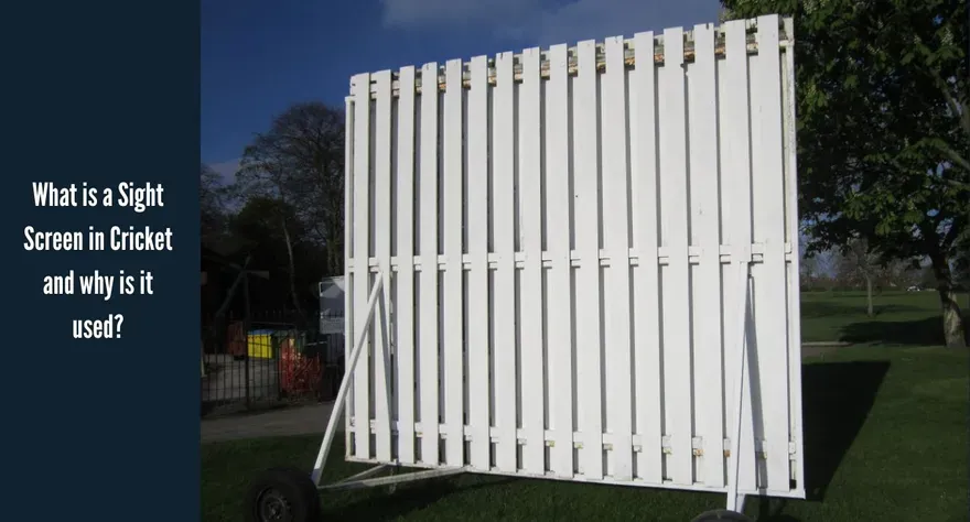 What is a Sight Screen in Cricket and why is it used?