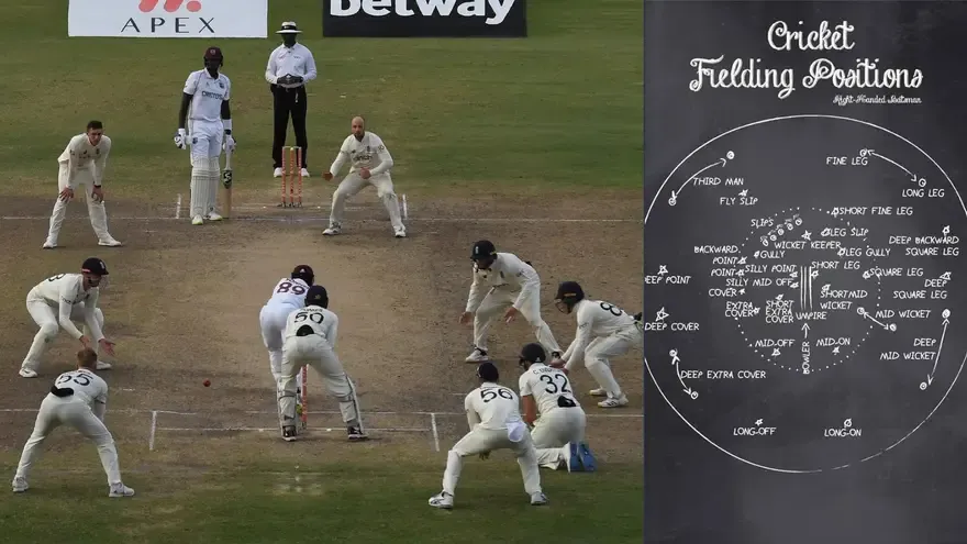 A Beginner's Guide to Cricket Fielding Positions: Learn and Master the ...